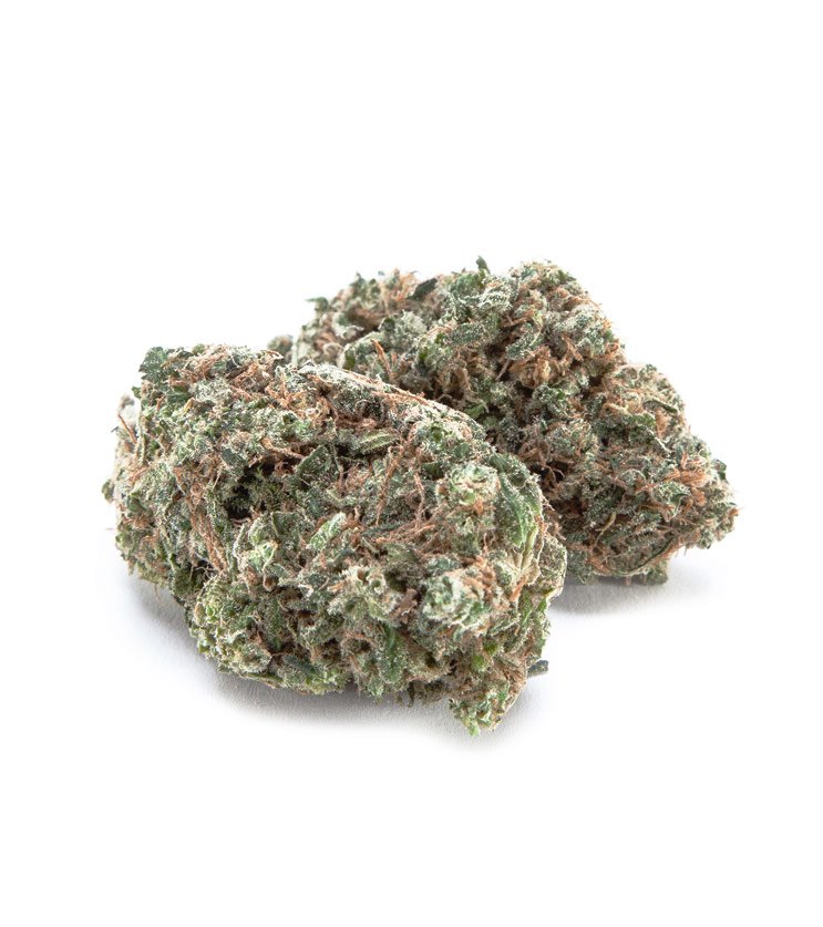 Code Black – Astro Buds