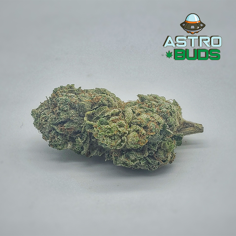 OG Comatose – Astro Buds