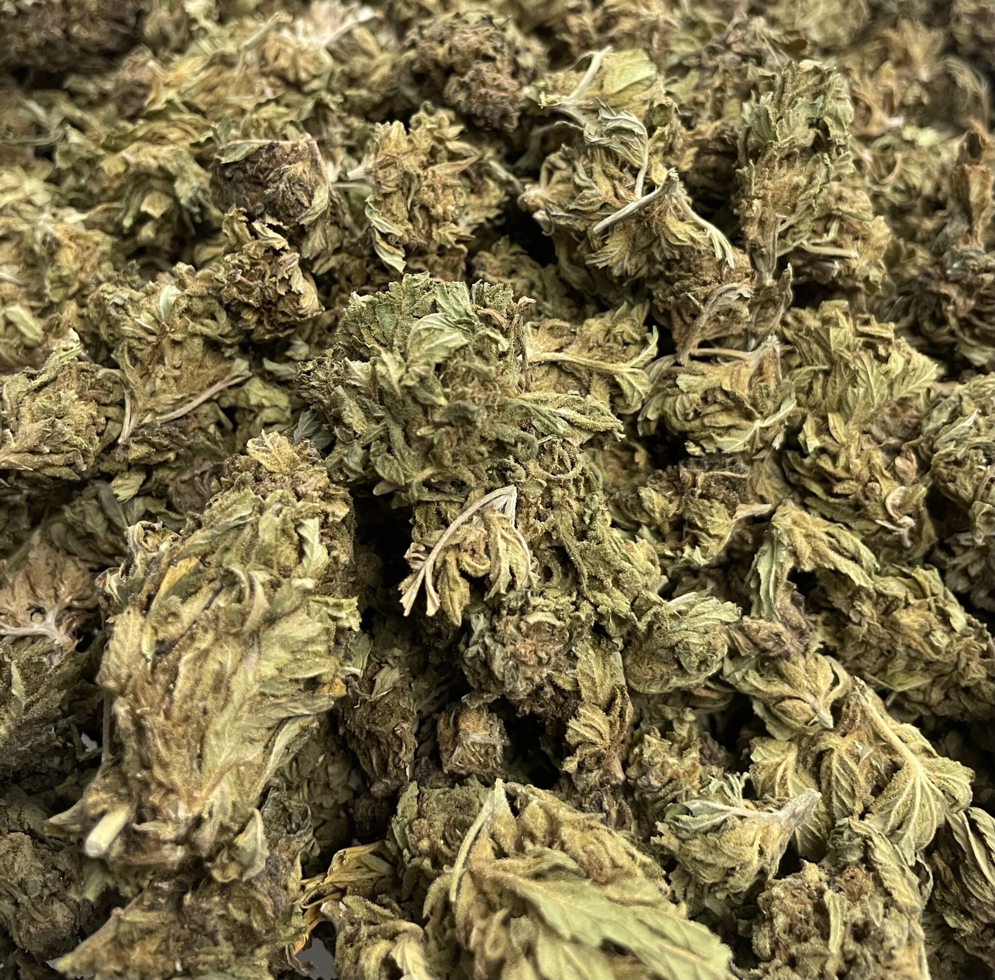 Astro Buds – Same Day Delivery Marijuana – We're Out Of This World