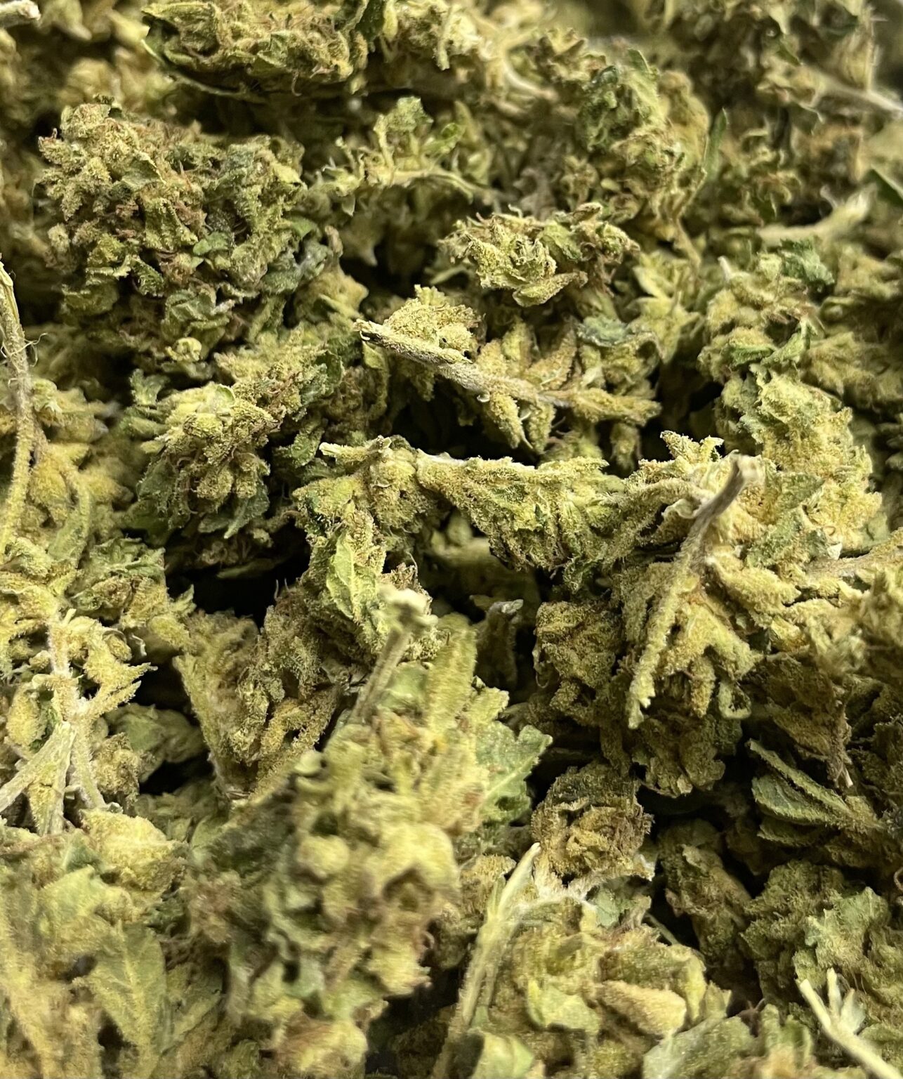 Astro Buds – Same Day Delivery Marijuana – We're Out Of This World