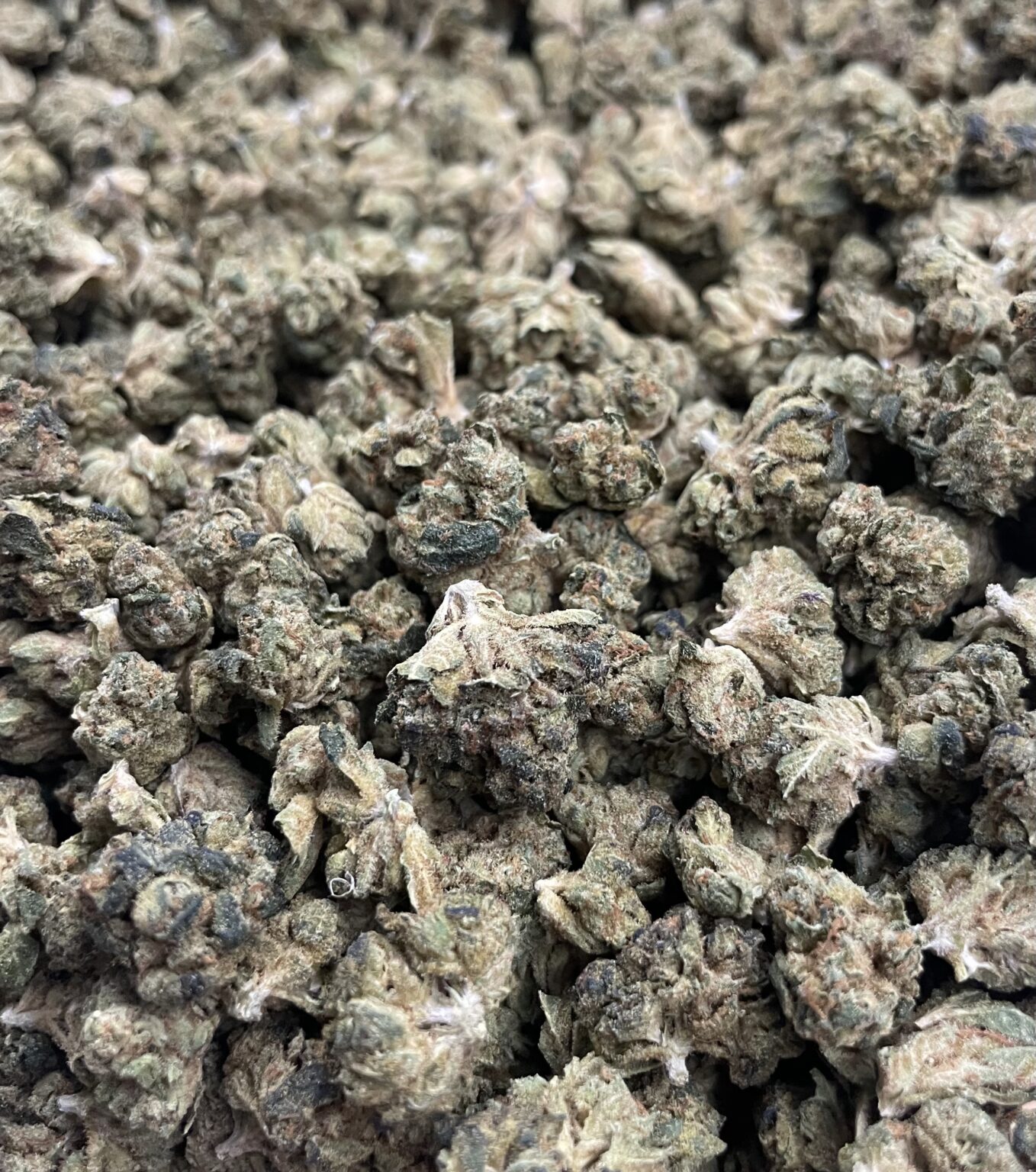 Astro Buds – Same Day Delivery Marijuana – We're Out Of This World