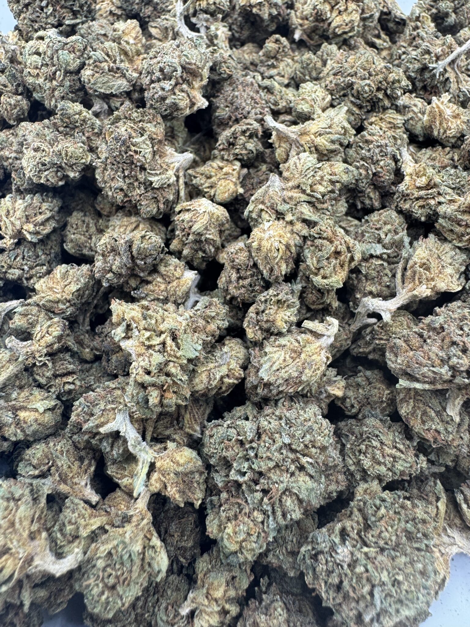 Astro Buds – Same Day Delivery Marijuana – We're Out Of This World